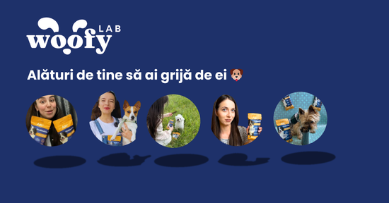 Suplimente probiotice premium pentru câini | Woofy Lab România