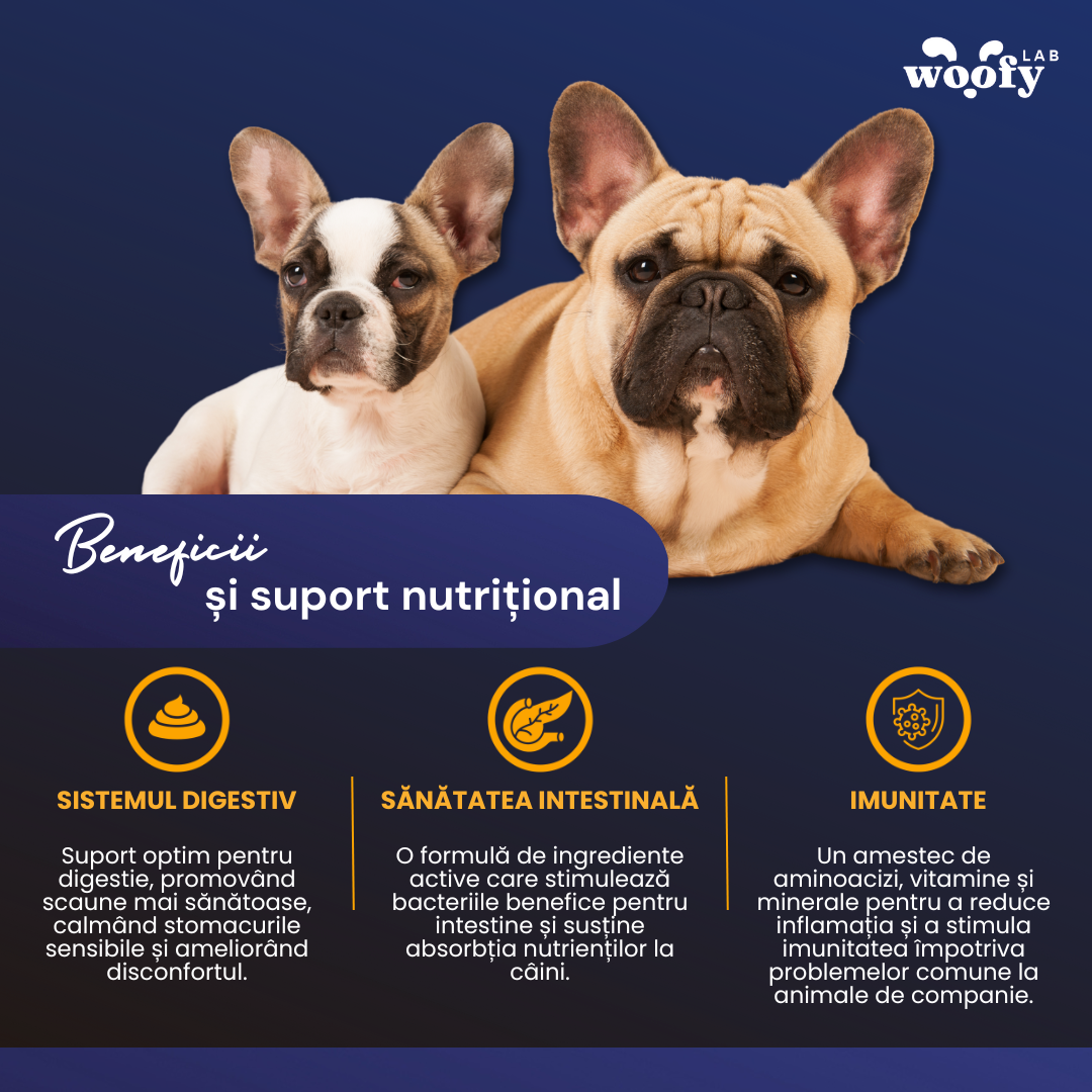 Snackuri Probiotice Supliment digestiv premium | Woofy Lab