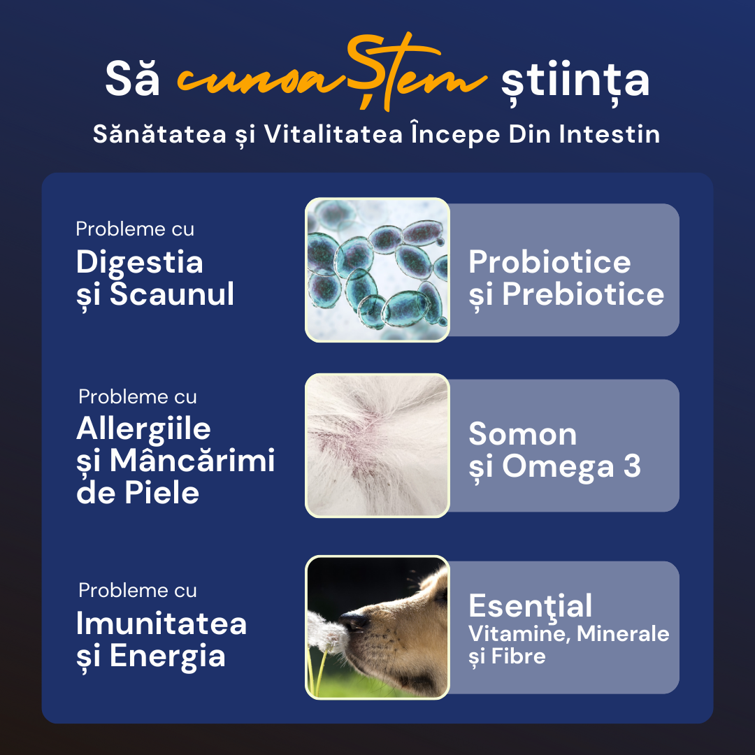 Snackuri Probiotice Supliment digestiv premium | Woofy Lab