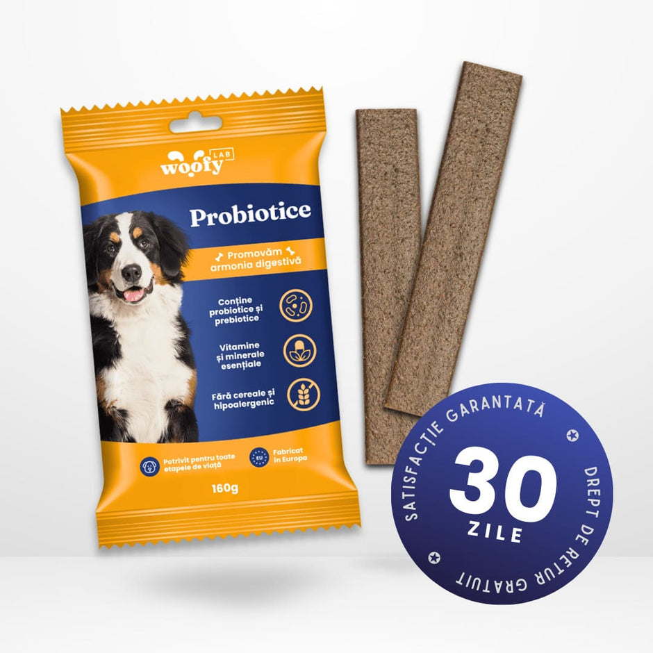 Abonament Woofy Lab | Woofy Lab